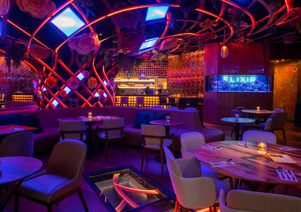 Elixir - Fotos, Inauguração e toda a Comunicação • Dale! Marketing Digital