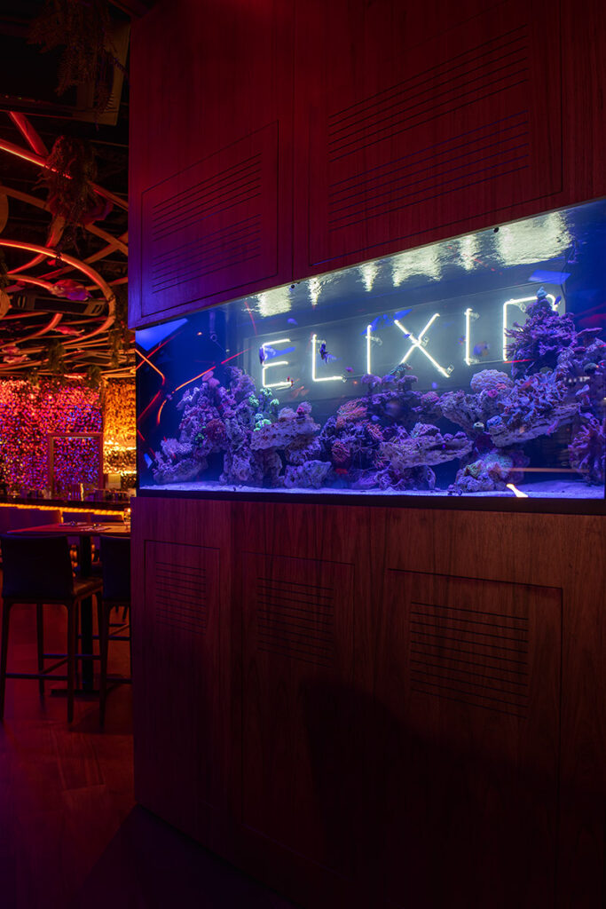 Elixir - Fotos, Inauguração e toda a Comunicação • Dale! Marketing Digital